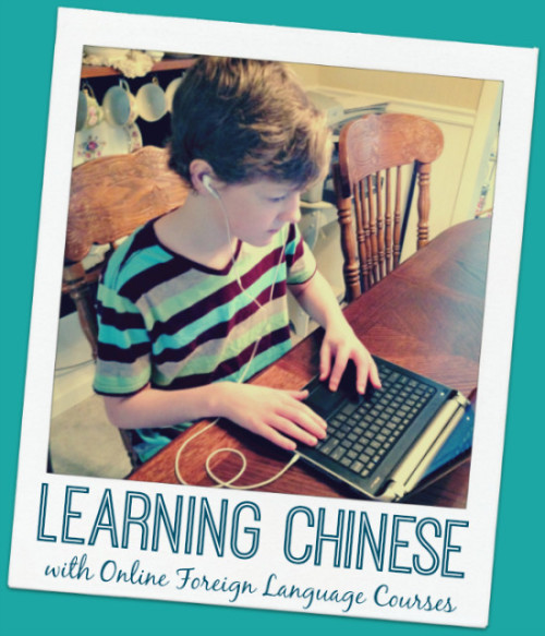 Learning Chinese With Online Foreign Language Courses Learning Chinese With Online Foreign Language Courses